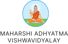 What is the mission of MAV? - Mav